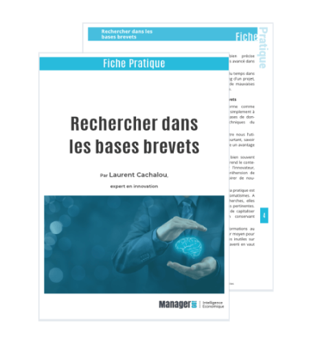 Rechercher dans les bases de données brevet : pdf à télécharger