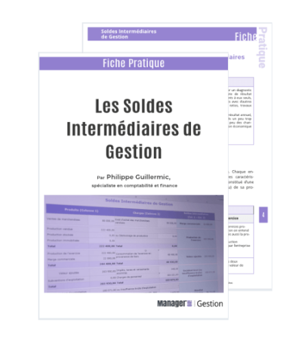 Tableau des Soldes Intermédiaires de Gestion - SIG : fiches pratiques ...
