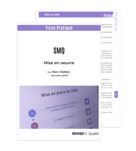 Bâtir un SMQ, PDF à télécharger sur le Système de Management de la Qualité