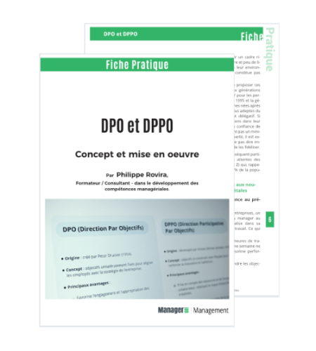 DPO et DPPO : concept et mise en oeuvre