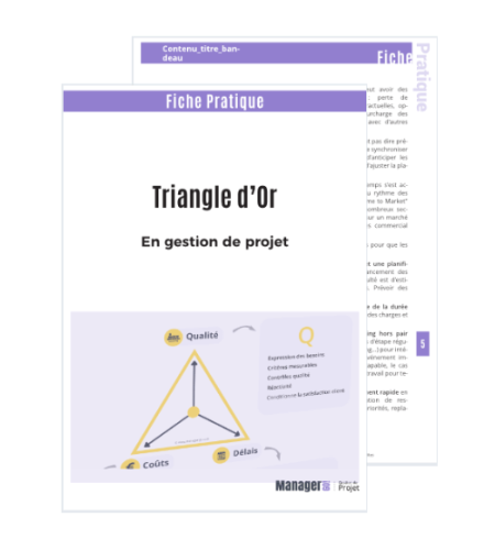 Triangle d'or QCD : fiche pratique PDF pour comprendre et maîtriser
